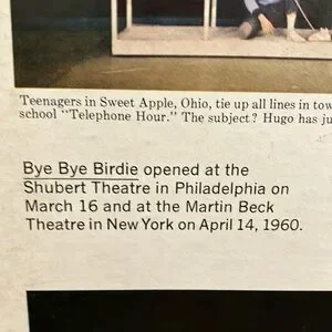 Other | Lp Bye Bye Birdie Original Broadway Cast Vinyl | Poshmark